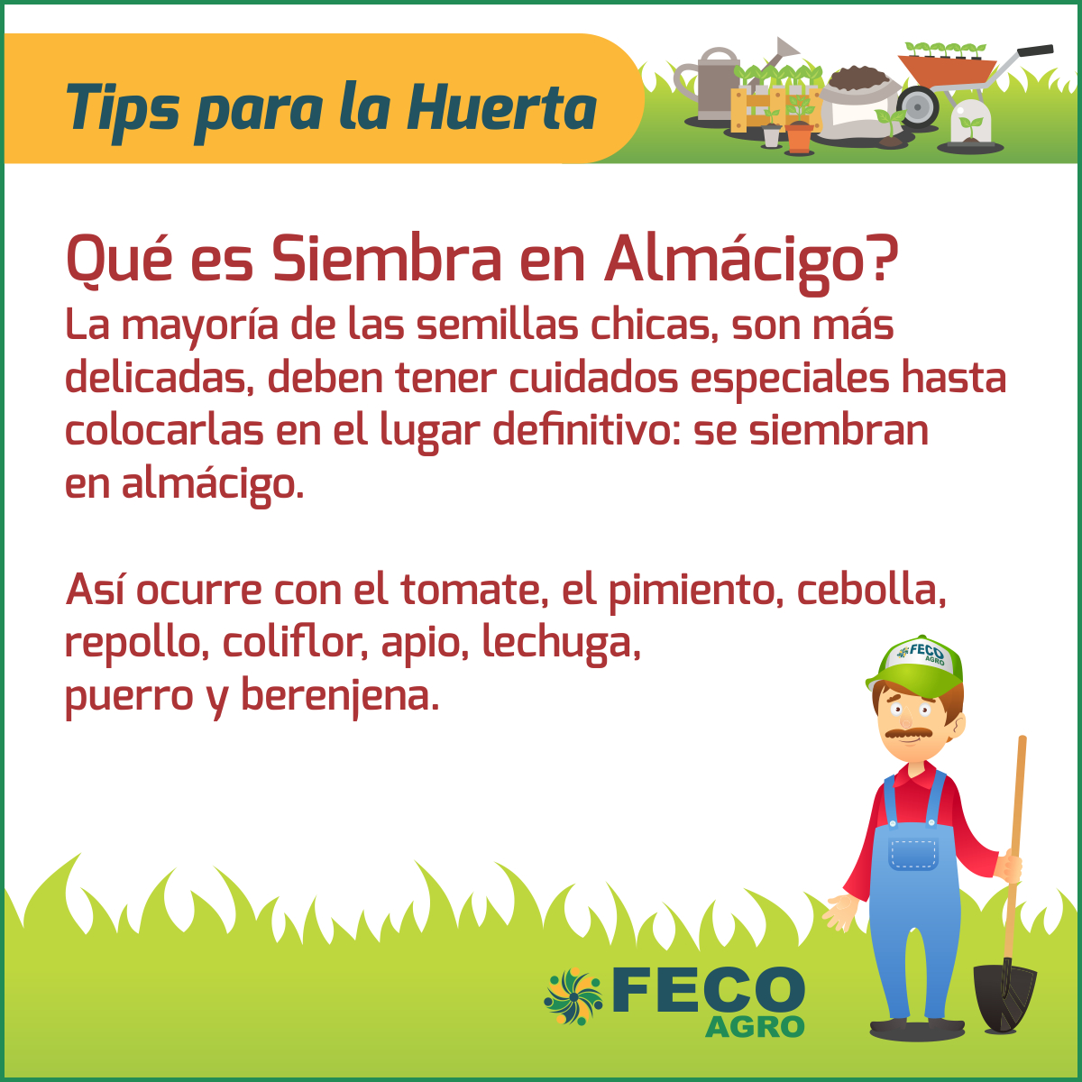 Qué es la siembra en almácigo? - Fecoagro