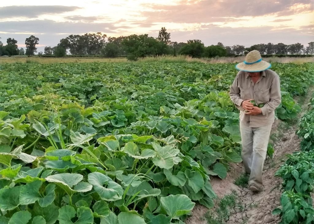 Día Del Agricultor Y Del Productor Agropecuario En Argentina Fecoagro